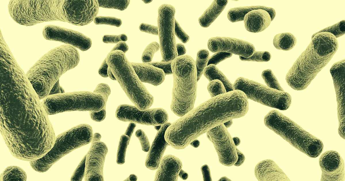 Got Diesel Bugs in Your Fuel? How to Fix the Problem